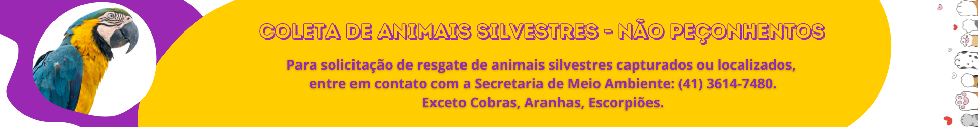 Proteção Animal